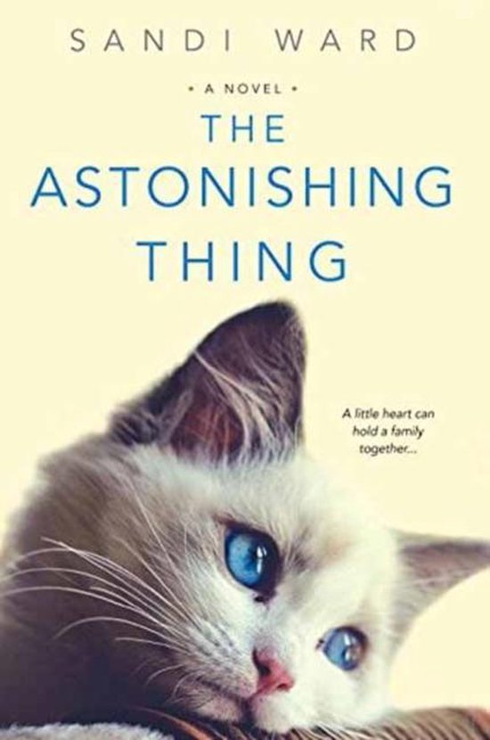 The Astonishing Thing, Sandi Ward | 9781496711113 | Boeken | bol.com