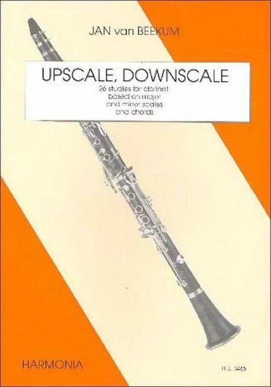 Upscale, Downscale, Jan van Beekum | 9789043152563 | Boeken | bol