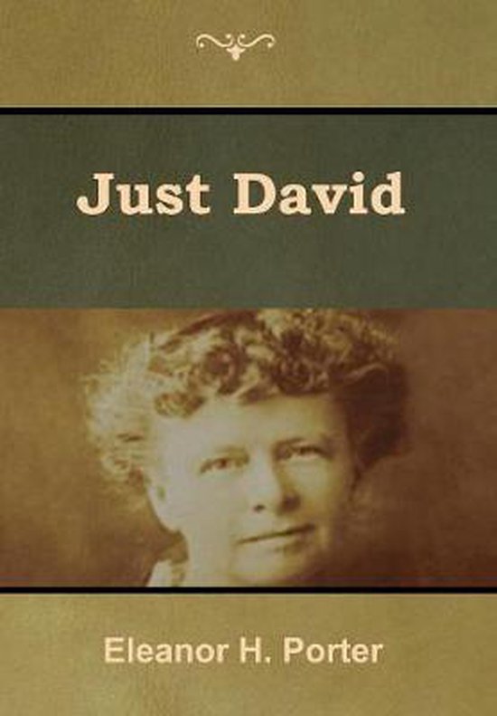 Just David, Eleanor H Porter | 9781618955258 | Boeken | bol.com