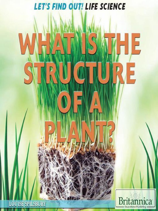 What Is The Structure Of A Plant Bestel Nu 