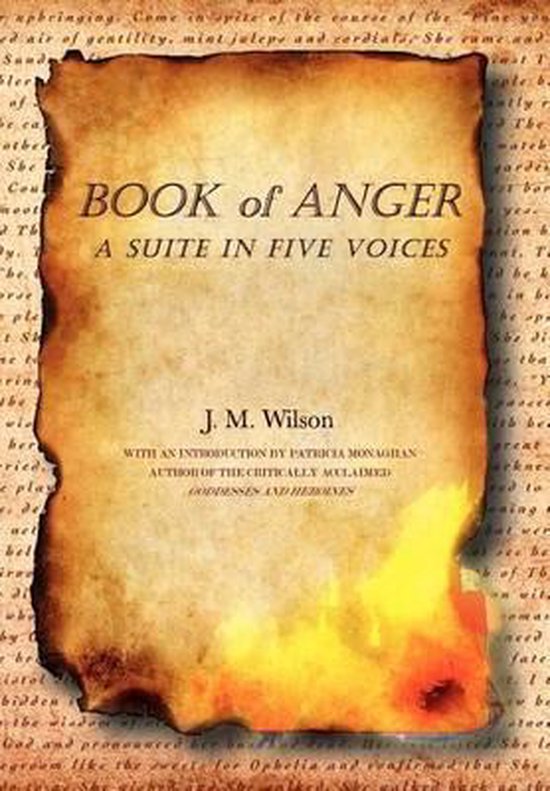Book of Anger | 9781469137636 | J M Wilson | Boeken | bol.com