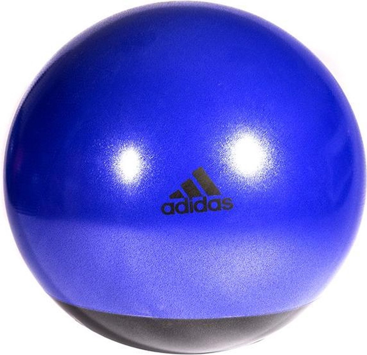 Adidas Stability Gymball Purple 65 cm | bol.com