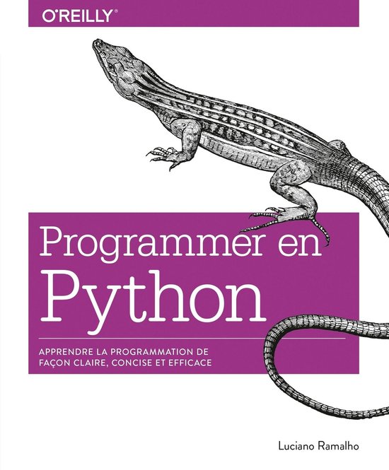 Programmer en Python (ebook), Luciano Ramalho | 9782412047163 | Boeken ...