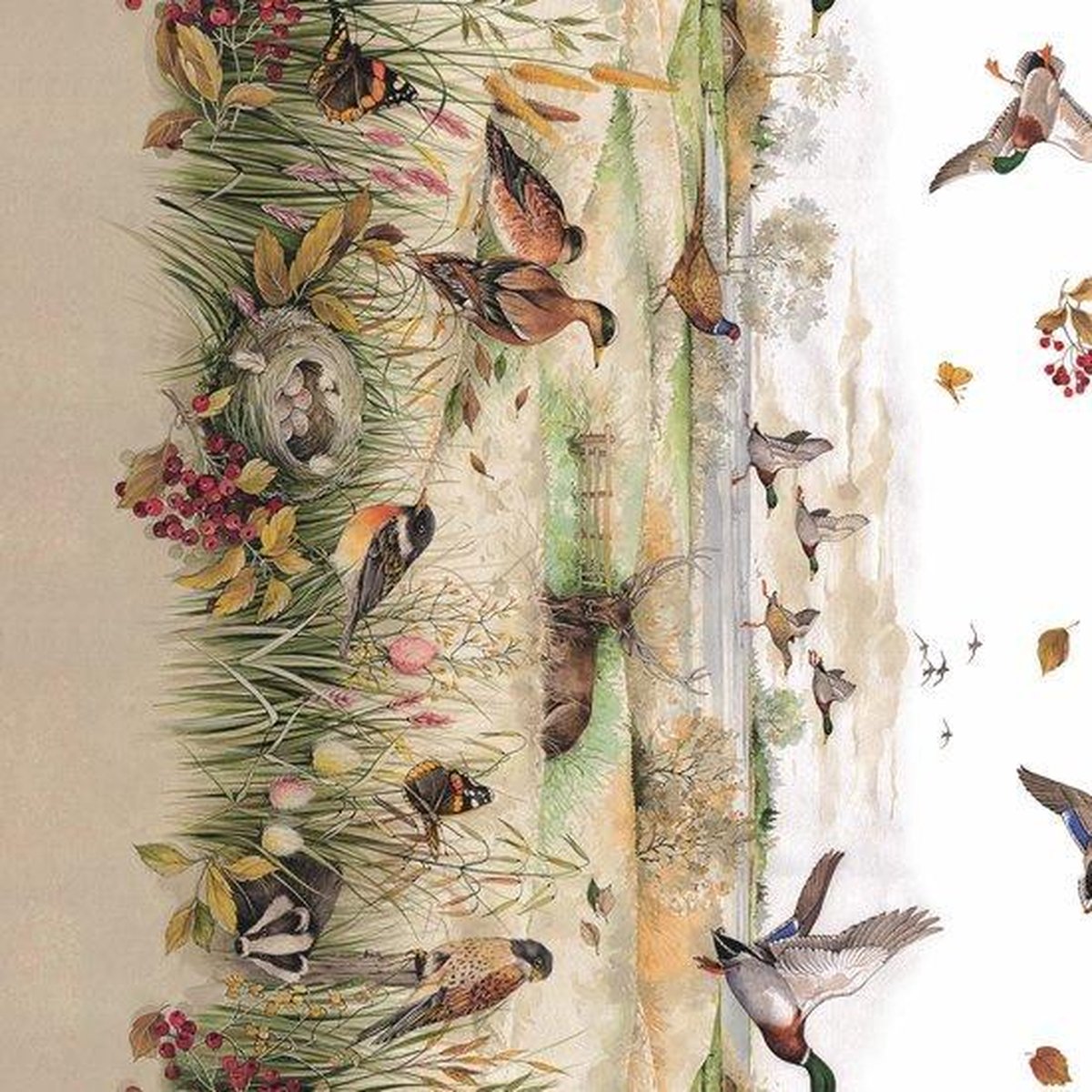 Nappe - Nappe - Toile cirée - Enroulée sur tube - Geen plis - Chasse ...