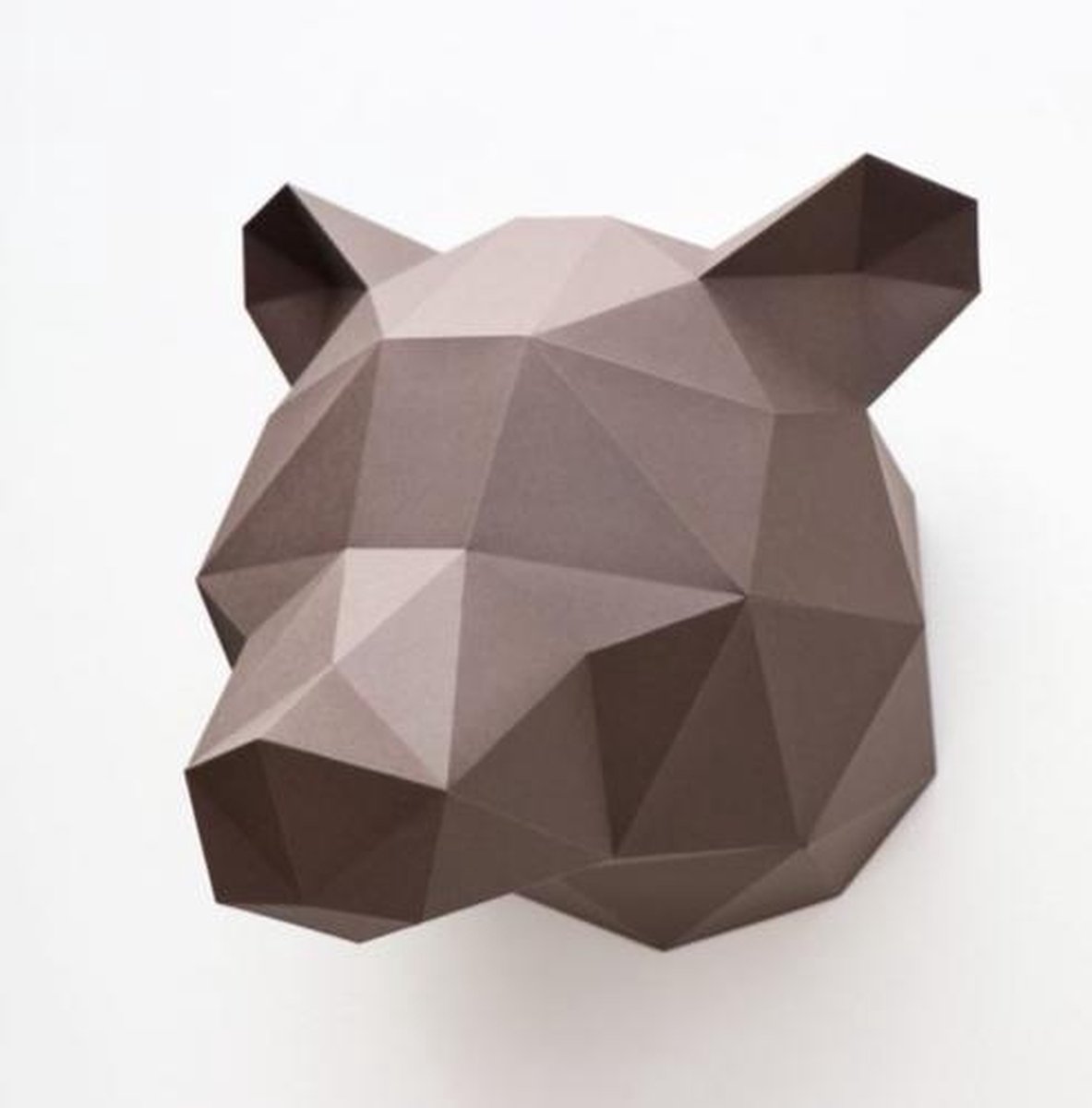 Assembli beer paper kit DIY trofee-bruin | bol.com