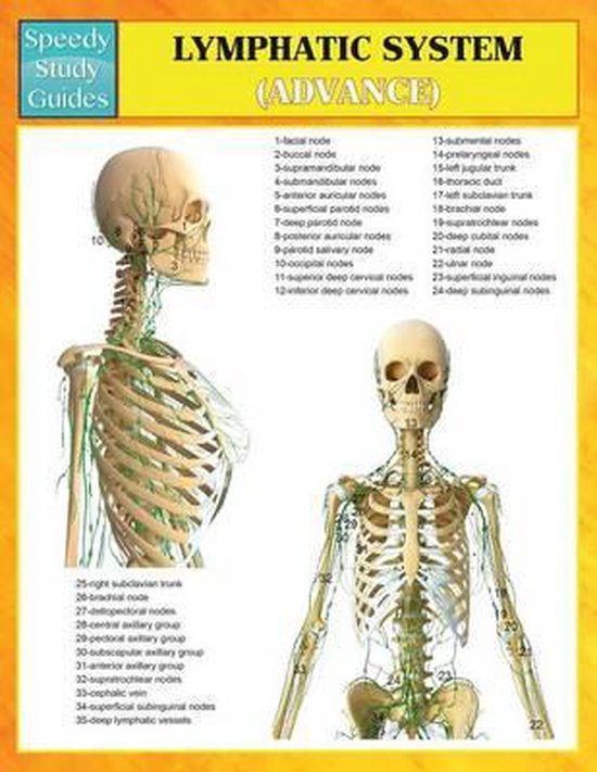 Lymphatic System (Advanced) (Speedy Study Guides) | 9781633834040 ...