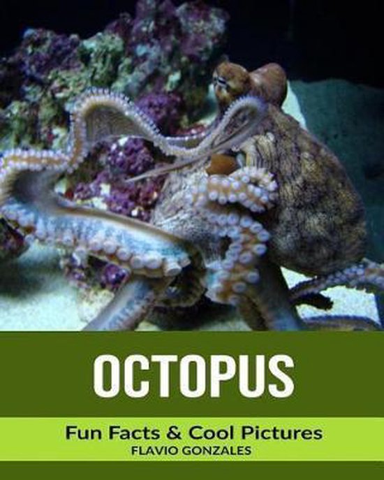 Octopus, Flavio Gonzales | 9781075381201 | Boeken | bol.com
