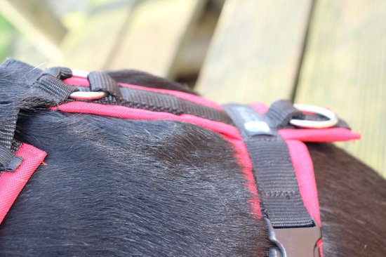 Harnais pour chien Anny X Harnais en Y rouge noir taille XL | bol.com