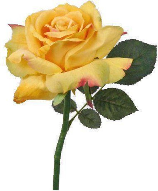 Fun & Feest Bloemen Geel roos 31 cm | bol.com