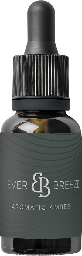 Ever-breeze Aromatic Amber Autoparfum - Luxe Geurcombinatie van Vetiver ...
