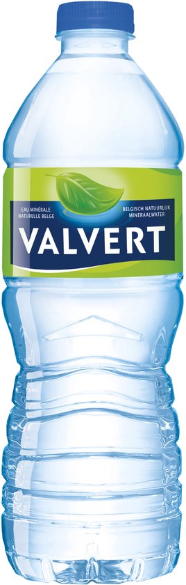 VALVERT WATER RPET 50CL - 24 stuks | bol