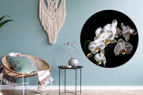 WallCircle - Muurstickers - Behangcirkel - Orchidee - Bloemen - Wit - Natuur - Zwart -... | bol