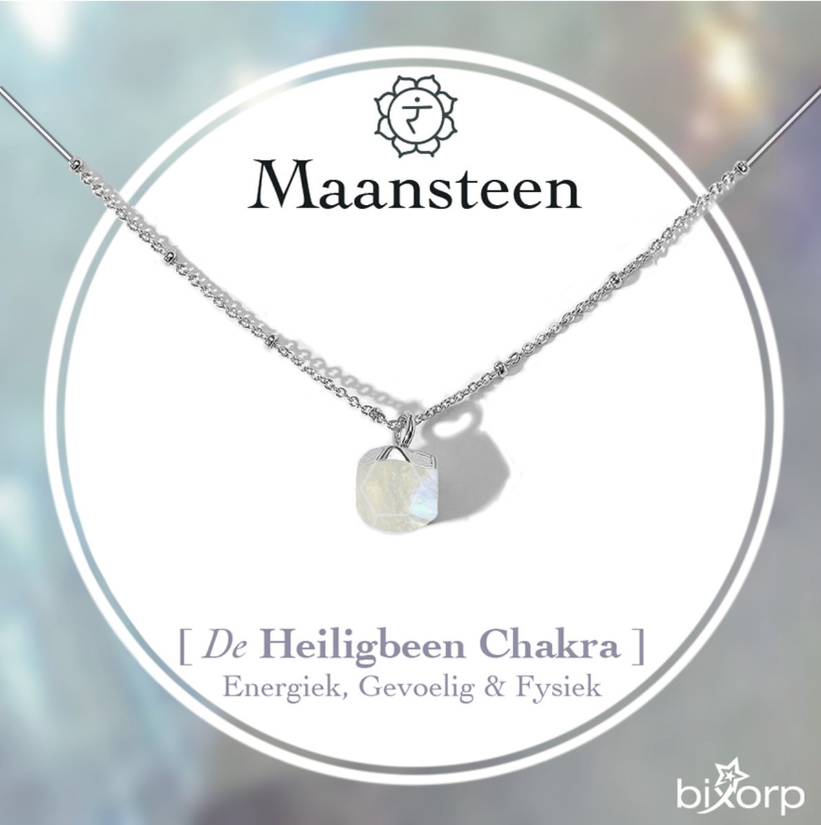 Bixorp Gems Heiligbeen Chakra Ketting Maansteen + Verguld Zilver ...