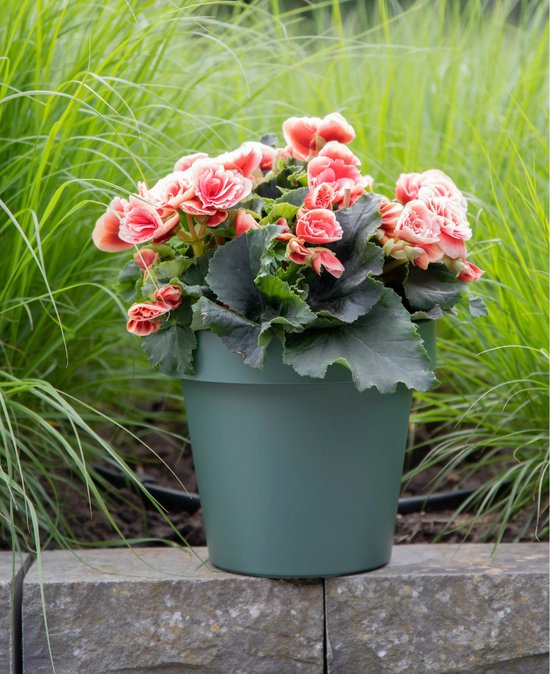 Mega Collections Plantenpot/bloempot - kunststof - donkergroen - buiten ...