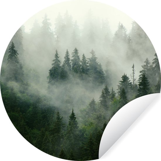 Behangcirkel - Bos - Mist - Natuur - Groen - Zelfklevend behang ...