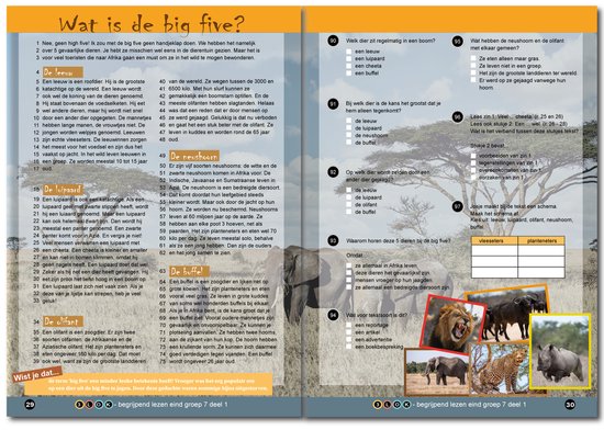 CITO oefenboeken voordeelset Rekenen, Begrijpend lezen & Taalverzorging groep 7 - E7 -... | bol