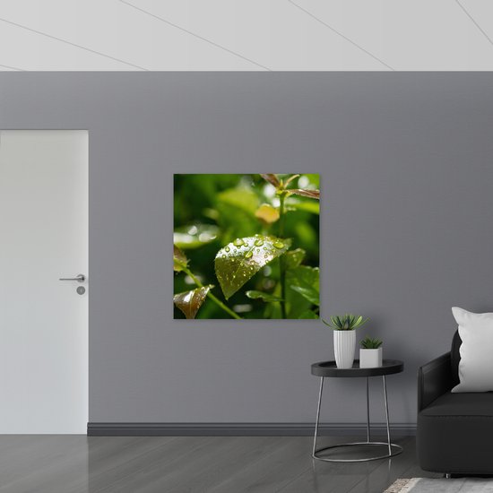 Vlag - Groen Blad Vol met Regendruppels - 100x100 cm Foto op Polyester ...