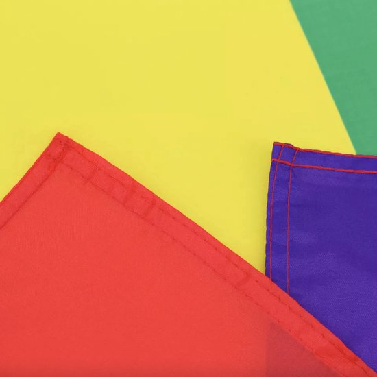 LGBTQ vlag - Pride vlag - Pride flag - Regenboog vlag - Progress | bol
