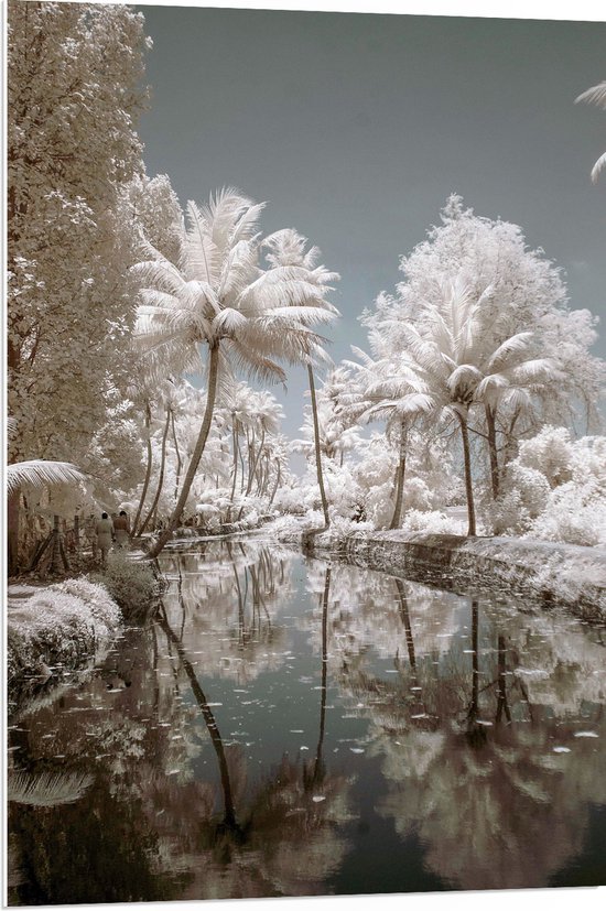 PVC Schuimplaat - Water - Bomen -Bossen - Palmbomen - Tropisch - Wit ...