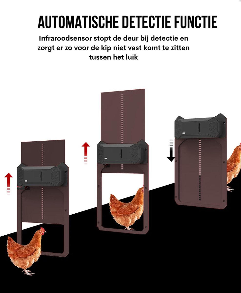 Kippenluik Automatisch - Automatische kippendeur – Hokopener voor ...