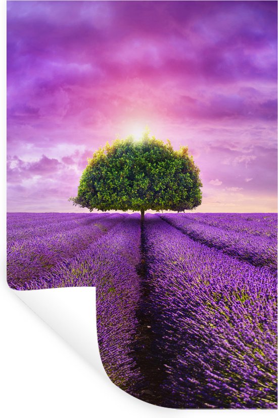 Muurstickers - Sticker Folie - Lavendel - Boom - Paars - Wolken - 60x90 ...