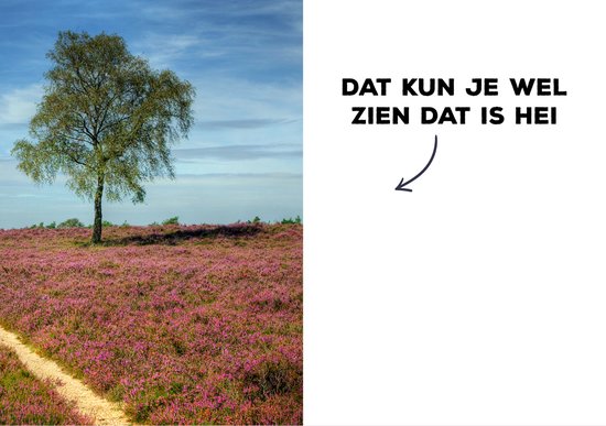 Dat is hei - Evert Kwok - Verjaardagskaart | bol.com