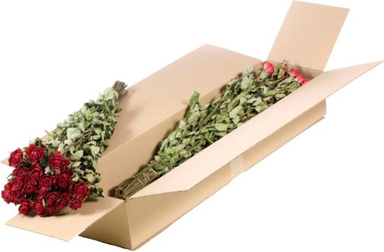 Droogbloemen rozen vertakt natuurlijk rood - 1 bundel | bol