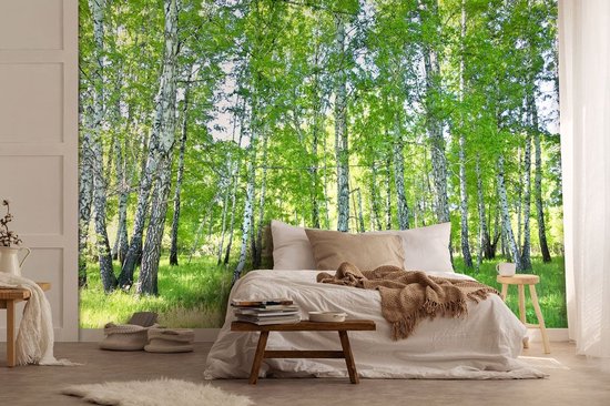 Fotobehang - Vlies Behang - Groen Bos - Berkenbos - Berkenbomen - 254 x ...