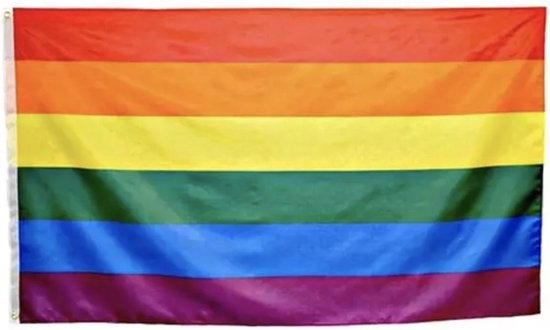 Weersbestendige Pride Vlag - Top kwaliteit Regenboog vlag - Rainbow flag - 150x90cm -... | bol