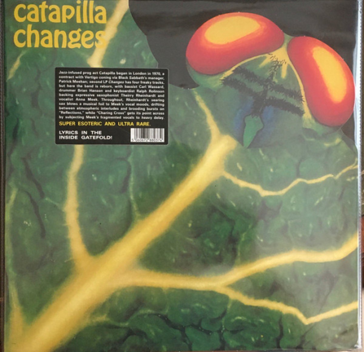 Changes, Catapilla | LP (album) | Muziek | bol