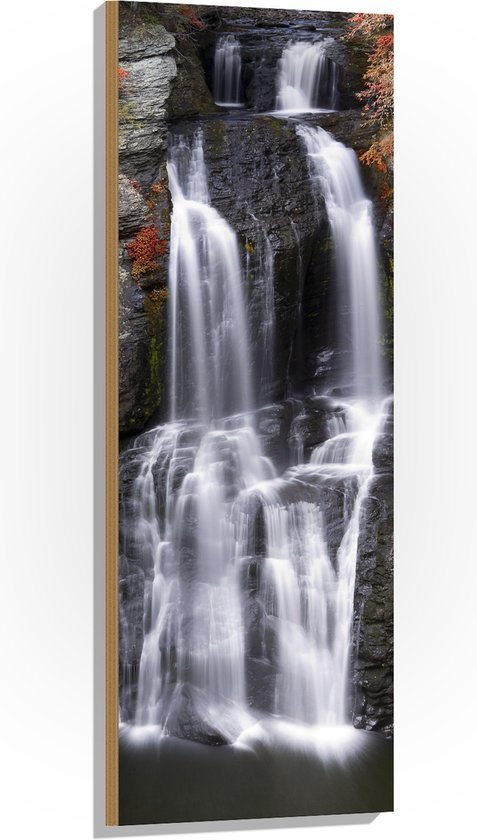 Hout - Berg - Waterval - Water - Bomen - 40x120 cm - 9 mm dik - Foto op ...