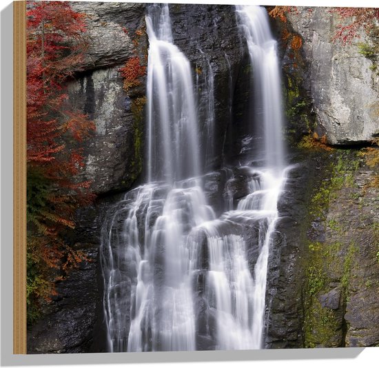 Hout - Berg - Waterval - Water - Bomen - 50x50 cm - 9 mm dik - Foto op ...