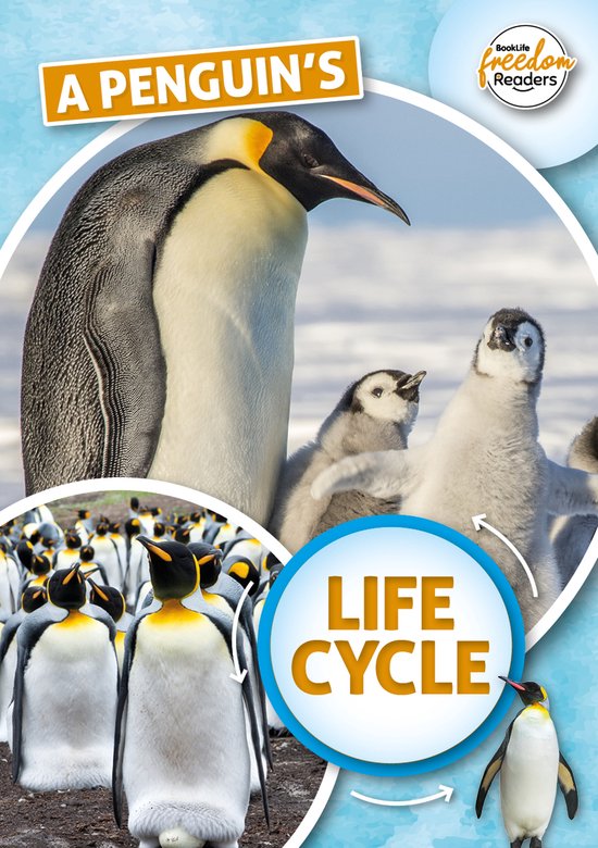 BookLife Freedom Readers-A Penguin's Life Cycle | 9781801551359 ...