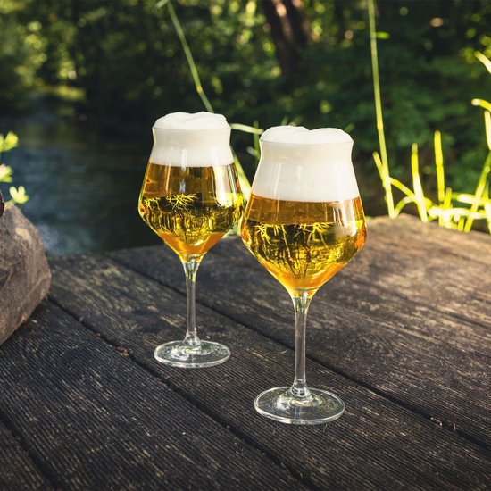 Craft Bierglazen in geschenkbuis - 100% vaatwasmachinebestendig, 435 ml, biertulp | bol