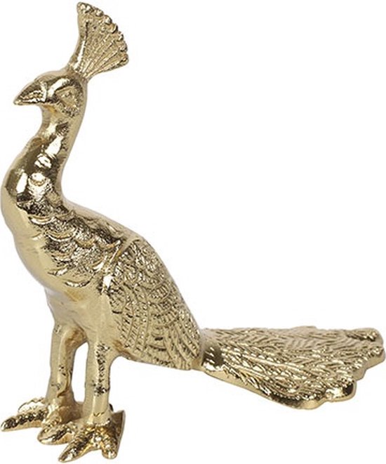 Pauw Lando M gold | bol