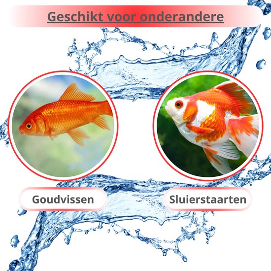 AquaKonings - Visvoer - Voor goudvissen & Sluierstaarten - 200ml (2x100ml) -... | bol