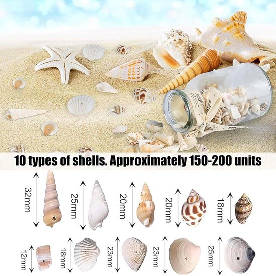 schelpen decoratieve / oceaanschelpen 150 stuks | bol