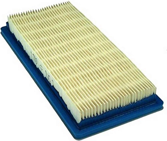 Genuine 710266 Air Cleaner Cartridge Filter - Briggs and Stratton | bol