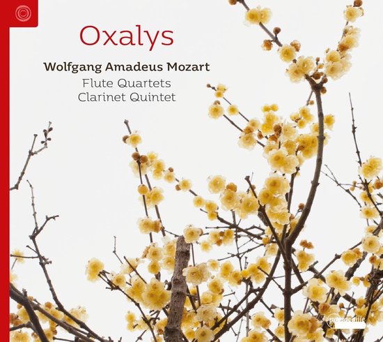 Oxalys - Wolfgang Amadeus Mozart: Flute Quartets | Clarinet Quintets ...