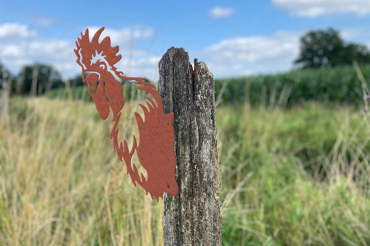 Kiekeboe Tuindecoratie Haan Herman - roest | bol.com