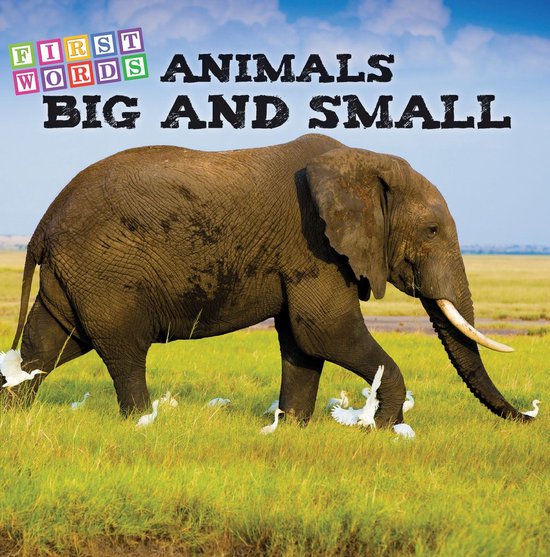 First Words - Animals Big and Small (ebook), Rhea Wallace ...
