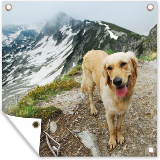 Tuin poster Een Golden Retriever op de bergpaden bovenop een berg ...