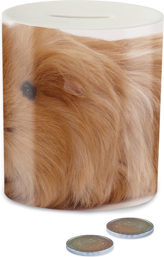 Spaarpot - Spaarblik - Sheltie cavia - Spaarpotten - Volwassenen - Kind ...