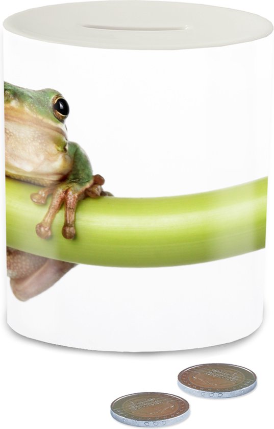 Spaarpot - Spaarblik - Kikker - Bamboe - Wit - Spaarpotten ...