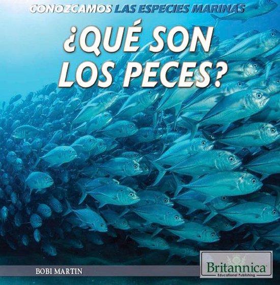 Conozcamos las especies marinas(Let's Find Out! Marine Life SPANISH ...
