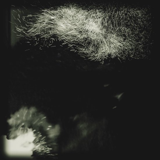 Fink - Fall Into The Light / Pilgrim (12" Vinyl Single), Fink | LP ...