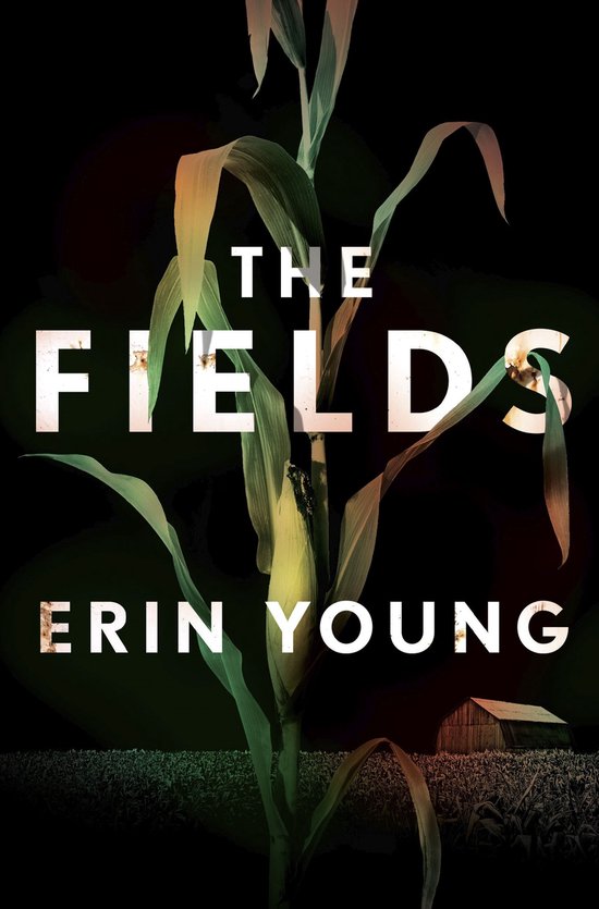 Riley Fisher 1 - The Fields (ebook), Erin Young | 9781399701020 ...