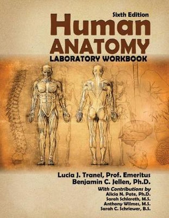Human Anatomy Laboratory Workbook, Lucia Tranel | 9781792468902 ...