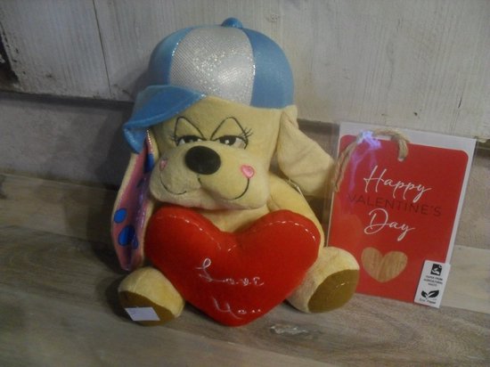 Valentijn-knuffel met hart | bol.com