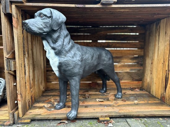 Goodyz- Huisdieren - Honden - Labrador - super leuk beeld - 75cm hoog -Zwart | bol